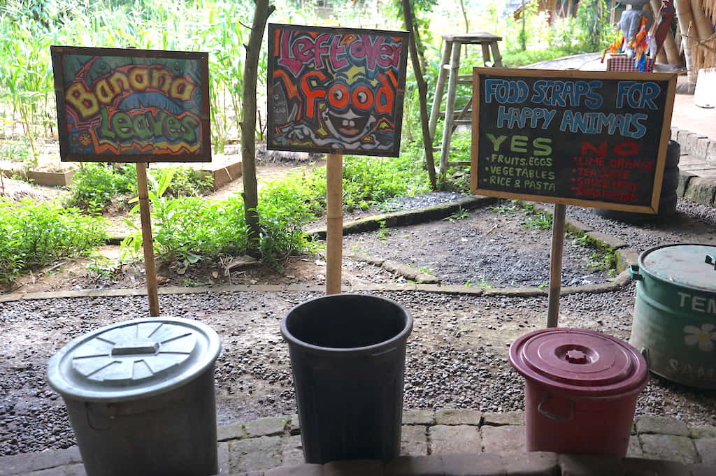 Green School | IDEAS FOR GOOD Business Design Lab